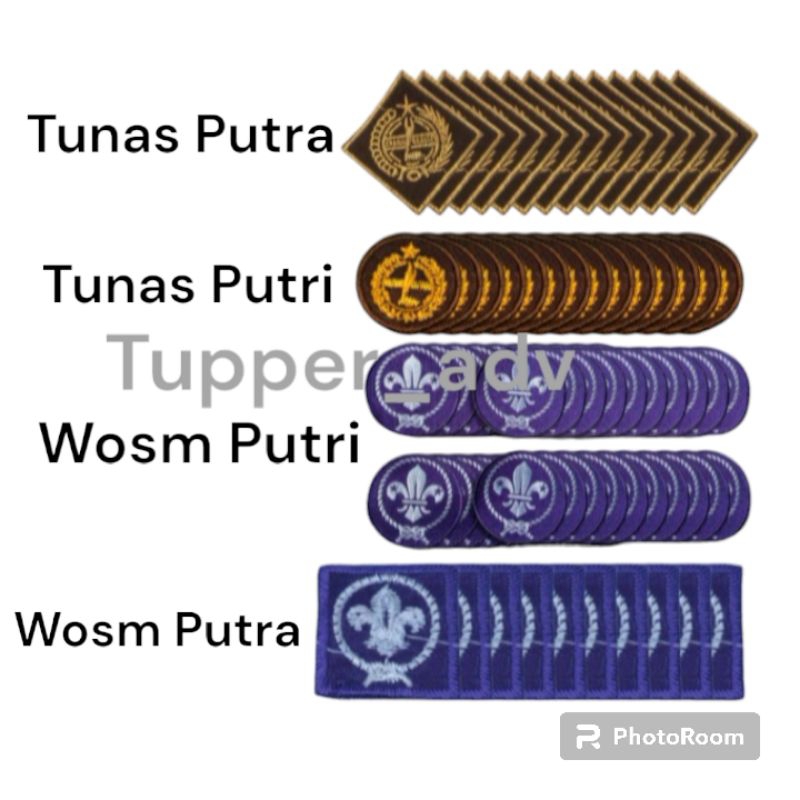Jual Badge Tunas Pramuka & Bed Wosm Pramuka Bordir Bulat & Persegi ...