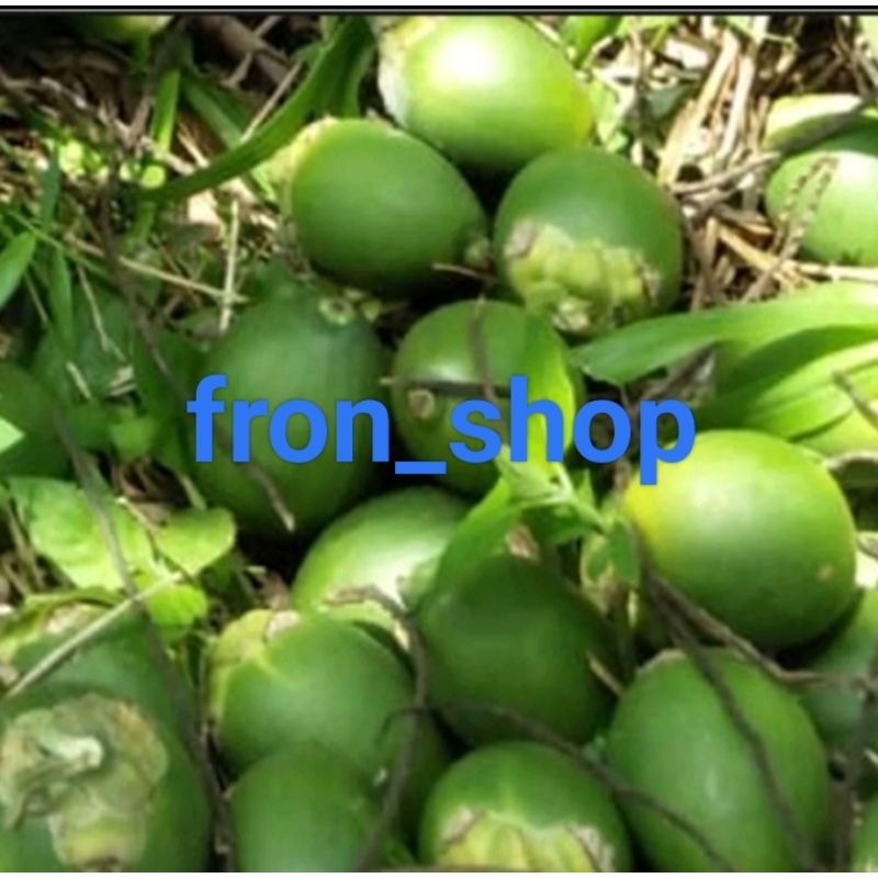 Jual Pinang Muda Segar Fresh 1kg | Shopee Indonesia