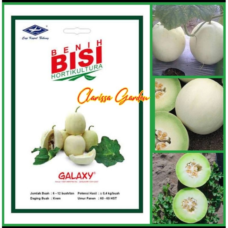 Jual BENIH BISI ( CAP KAPAL TERBANG ) MELON APEL GALAXY F1 ( KEMASAN ...