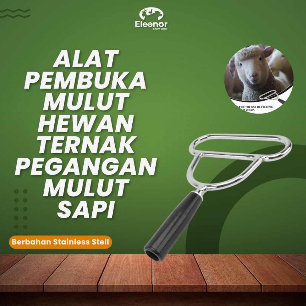 Jual Alat Pembuka Mulut Hewan Penyumpal Mulut Ternak Domba Kambing Sapi ...