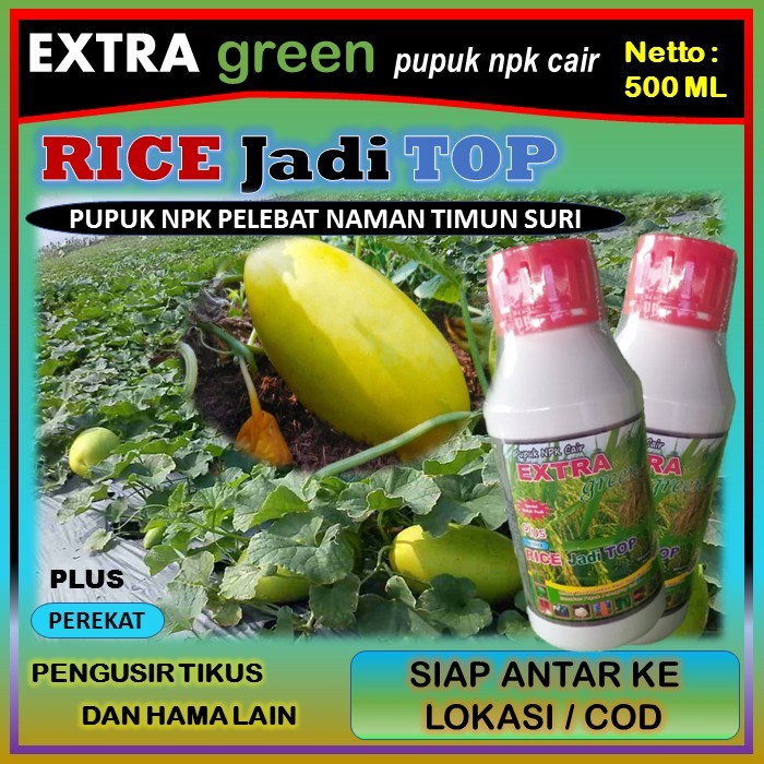 Jual Pupuk praktis hemat di kantong npk cair lengkap ( EKTRA GREEN RICE jadi TOP ) pupuk tanaman ...