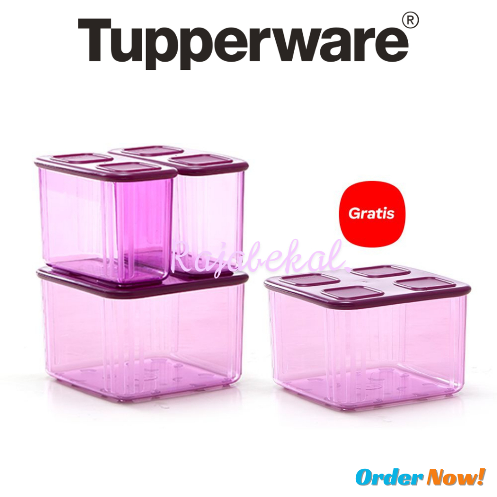 Jual PROMO Tupperware Fresh Clear Ungu 4pcs | Shopee Indonesia