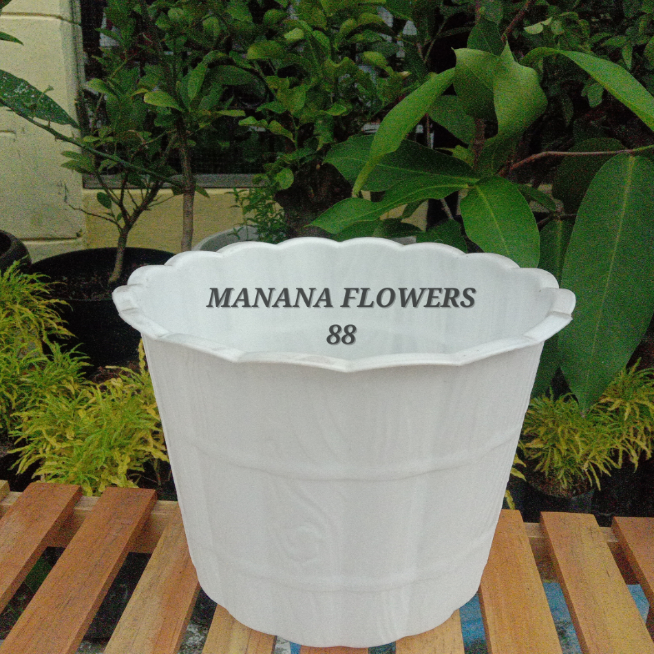 Jual POT PUTIH 25 GOSEND/ PAGODA BAMBU/ POT BUNGA/ POT TANAMAN ...