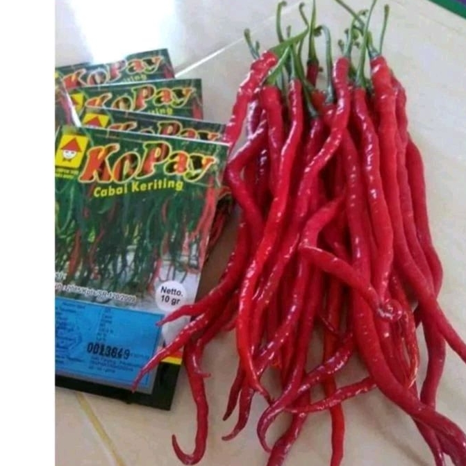 Jual Benih Cabe Merah Keriting KOPAY- CMK KOPAY- benih cabe KOPAY ...