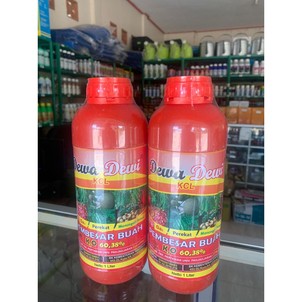 Jual Dewa Dewi KCL Cair 1 Liter Untuk Meningkatkan Pertumbuhan | Shopee ...