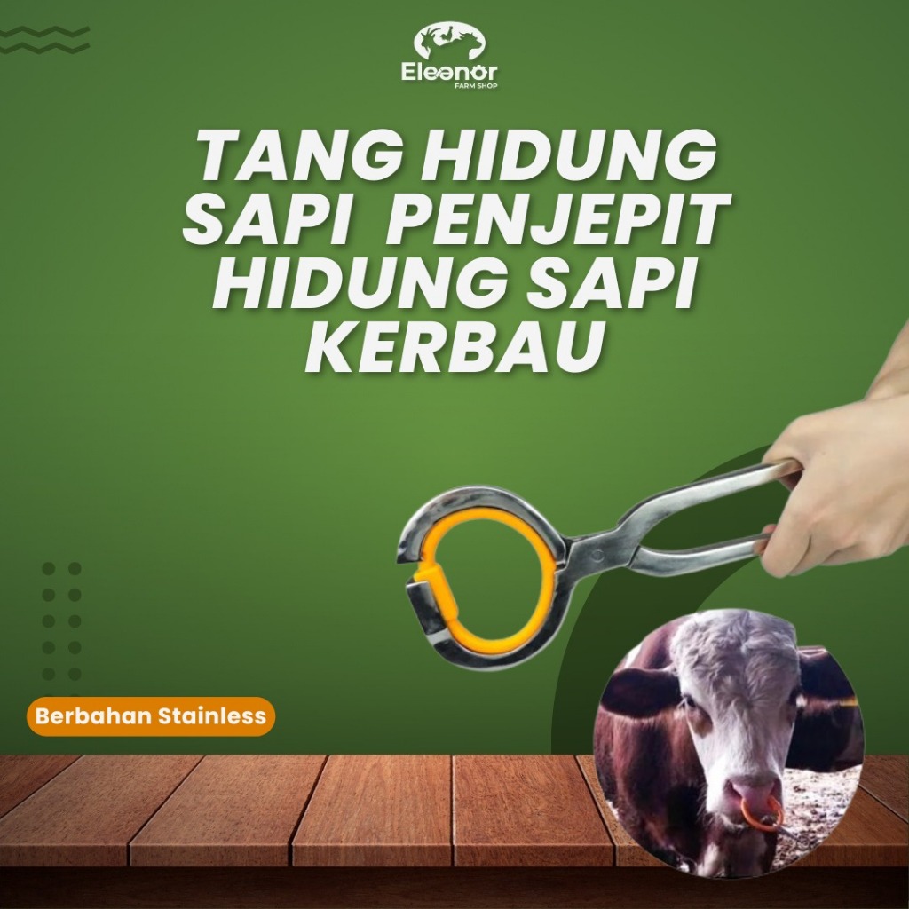 Jual Tang Hidung Sapi Tang Penjepit Cincin Hidung Sapi Kerbau | Shopee ...