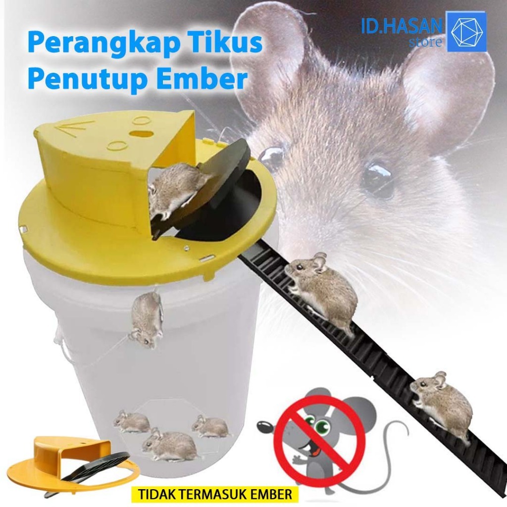 Jual Jebakan Tikus Mouse Trap Flip Slide Bucklet Lid Jebakan Beurit ...