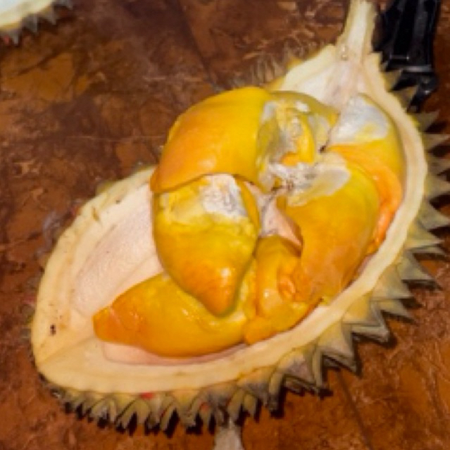 Jual Durian Kuning Mas | Shopee Indonesia