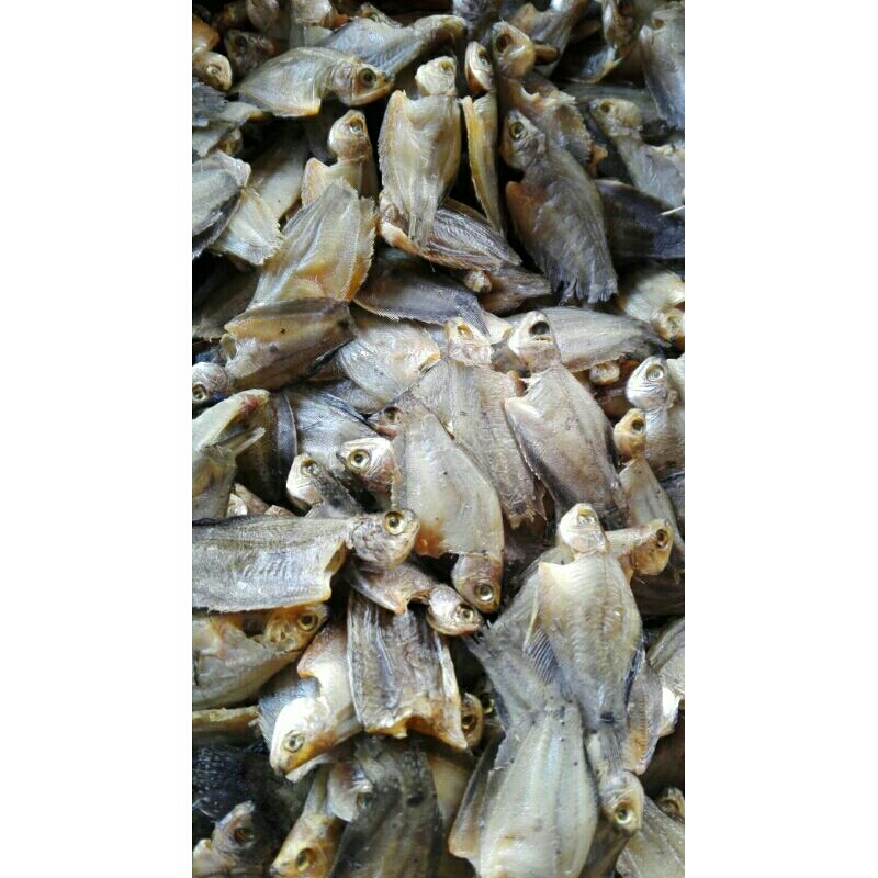 Jual IKAN SEPAT RAWA OLAHAN BARU KEMASAN 500 GRAM | Shopee Indonesia