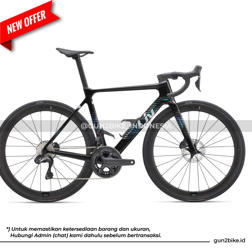 Jual Sepeda Road GIANT ENVILIV ADVANCED PRO DISC Carbon - Women Bike ...