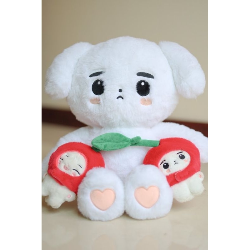 Jual [DP] OPEN PO ENHYPEN SUNGHOON & SUNOO 10CM & 30CM DOLL [BACA ...