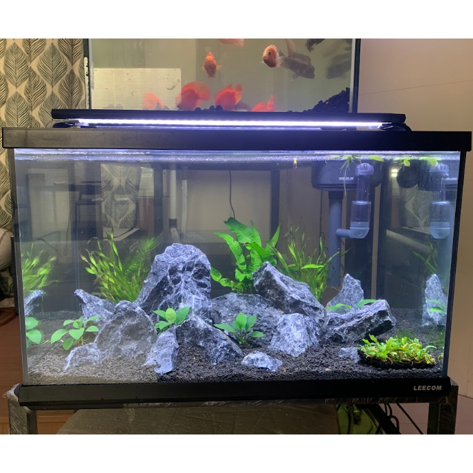 Jual Aquarium / Akuarium Full Set bening Aquatic aquascape Natural ...