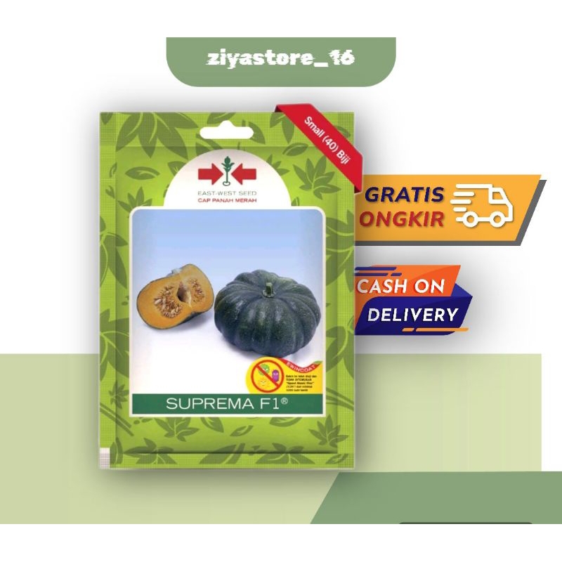 Jual Benih/bibit labu kuning suprema F1 isi 40 butir original cap panah ...