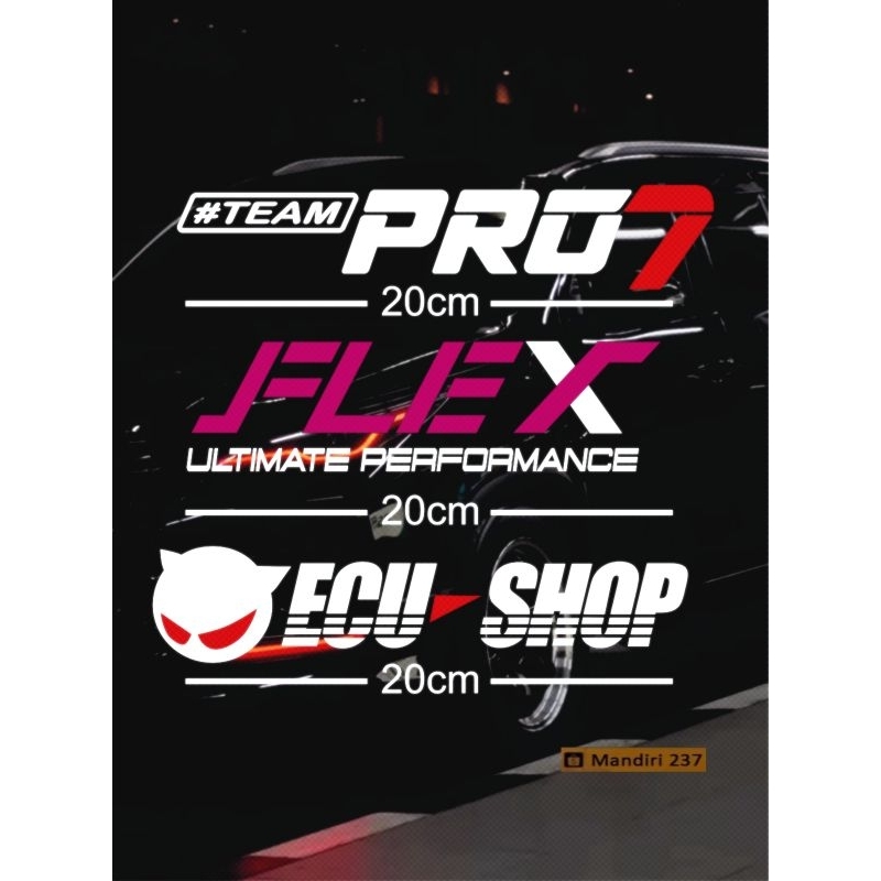 Jual STIKER MOBIL TEAM PRO7 FLEX ECU SHOP | Shopee Indonesia