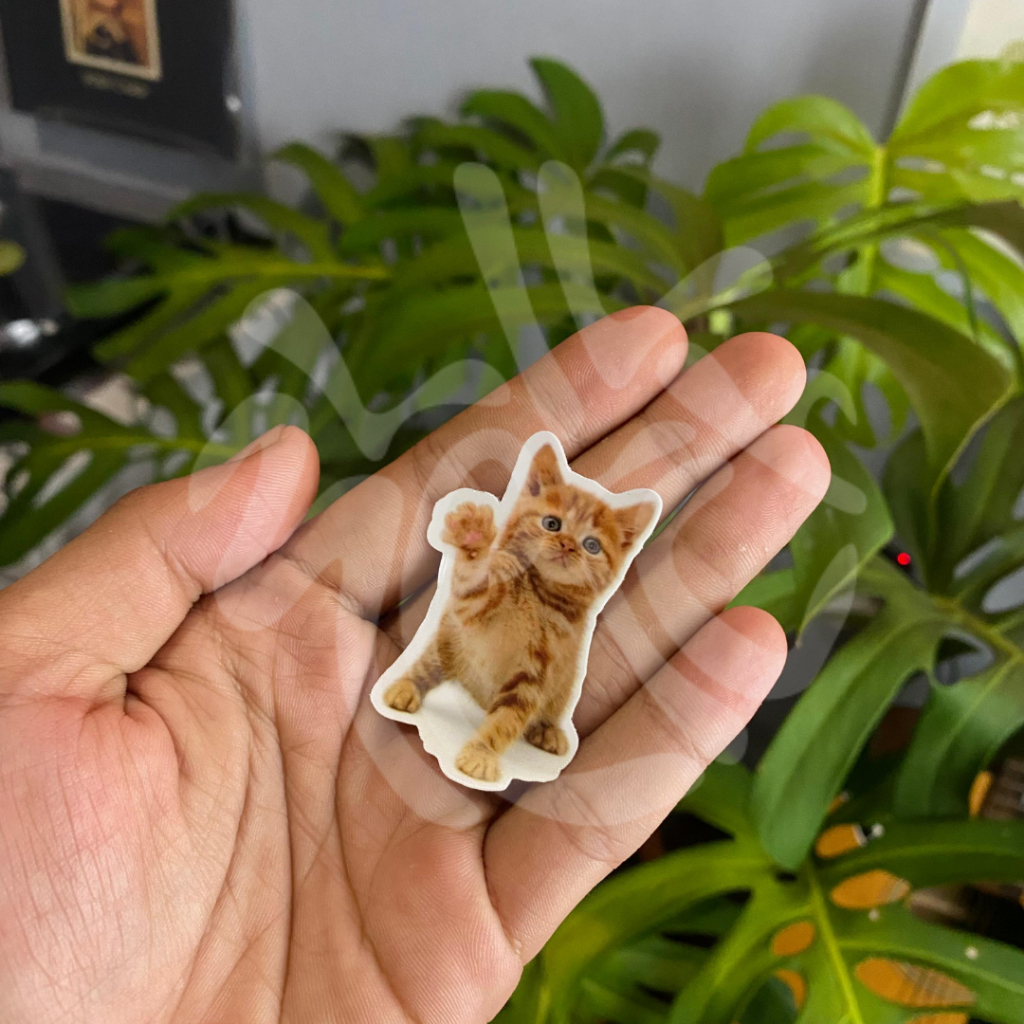 Jual stiker kucing / sticker aesthetic / sticker tumblr / stiker ...