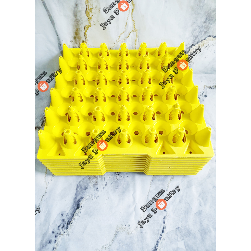 Jual EGG TRAY PLASTIK KUNING 31.5CM/TEMPAT TELUR AYAM /KANDANG PETELUR ...
