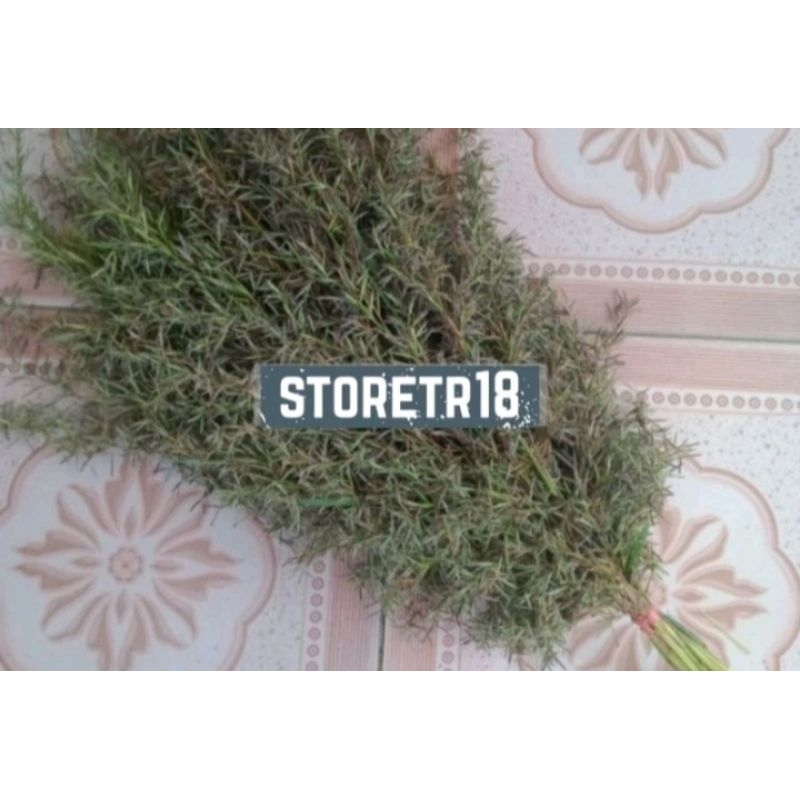 Jual Bunga Sereh Wangi Sereh Merah Segar Per 10 Tangkai | Shopee Indonesia