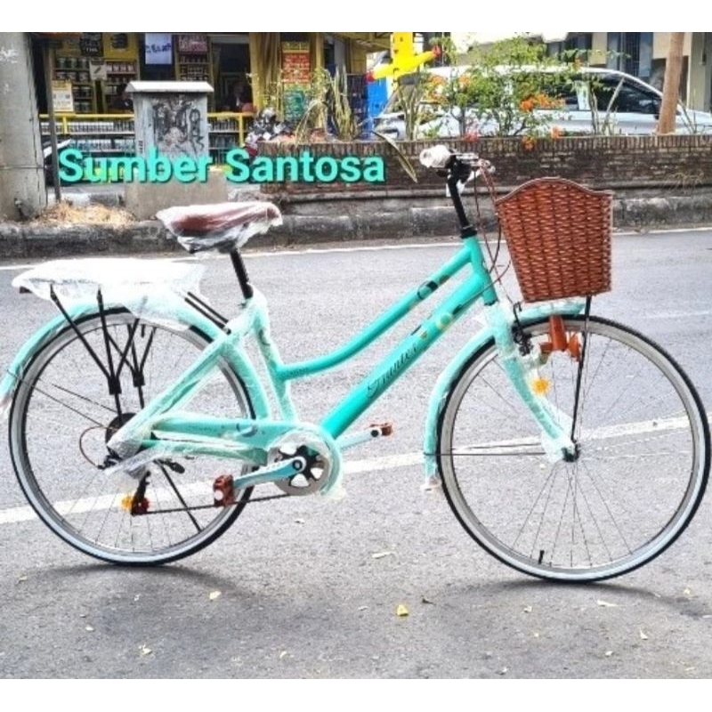 Jual SEPEDA CITY BIKE HUNTER SALVIA 7 SPEED SHIMANO 26 INCH BONUS BEL ...