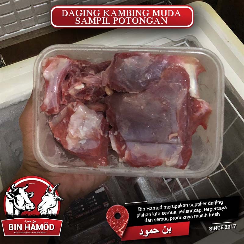 Jual Daging Kambing Muda Sampil Segar Kualitas Unggulan Domba Paha ...