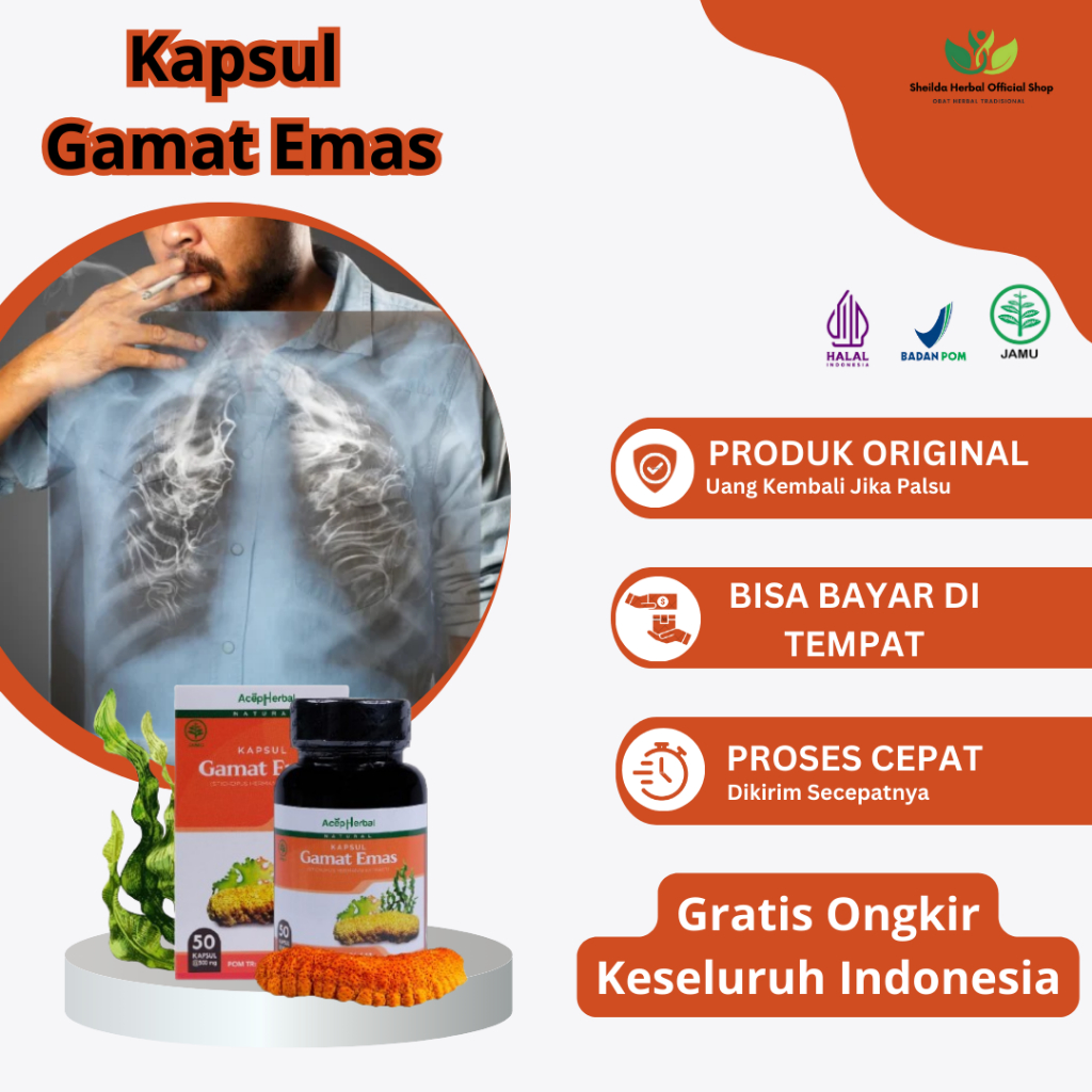 Jual Obat Bronkitis Kronis, Paru Paru Tidak Sehat, Batuk Berhari Hari ...