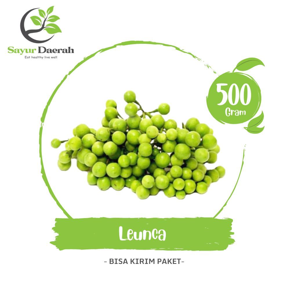 Jual Leunca 1 Kg | Sayur Daerah | Shopee Indonesia