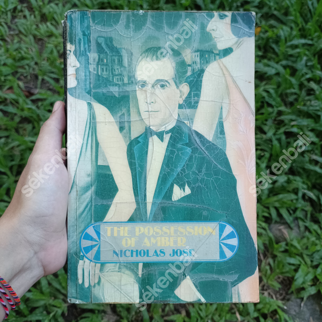 Jual Novel The Possession Of Amber by Nicholas Jose (1980) Buku Vintage | Shopee Indonesia