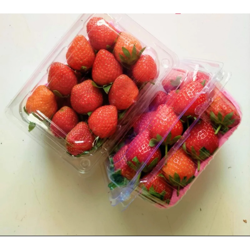 Jual buah strawberry lokal dan organik 1 pack 250g | Shopee Indonesia