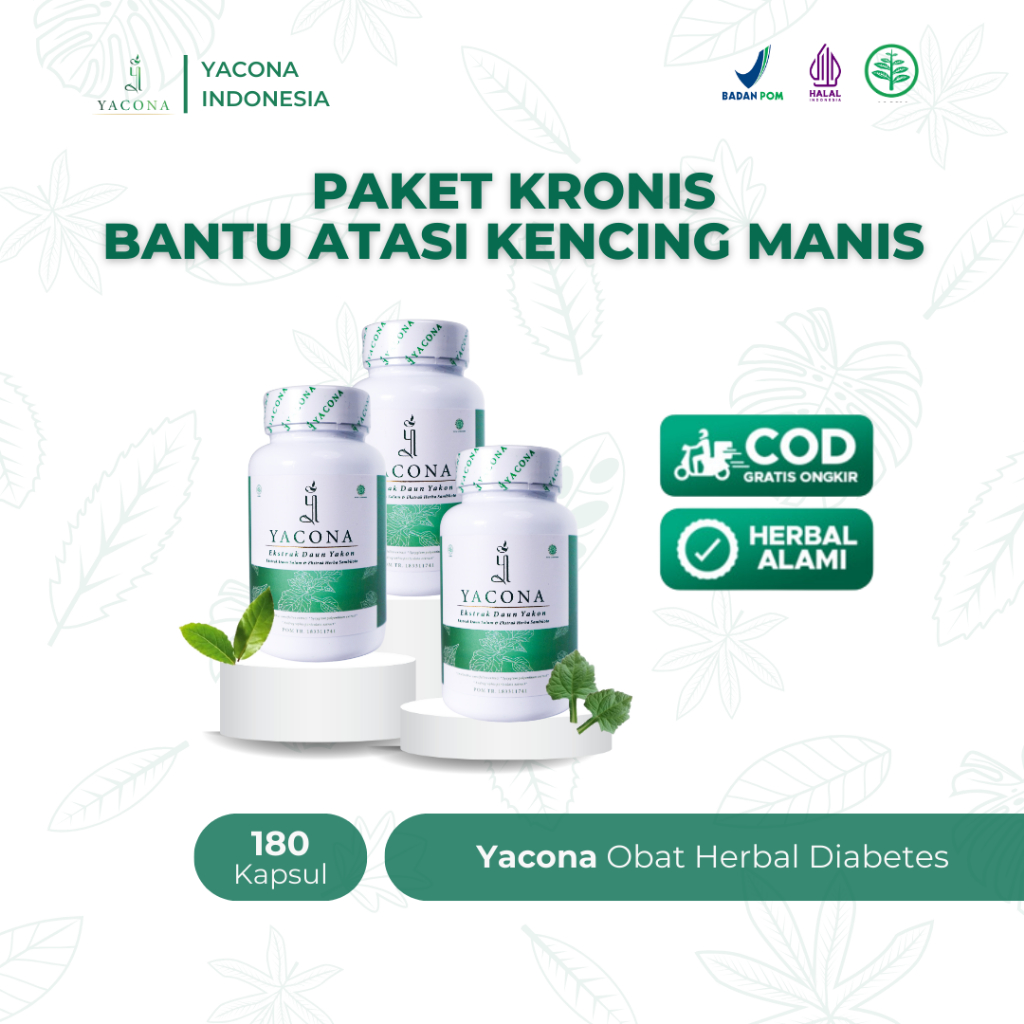 Jual Obat Gula Darah Tinggi Herbal Yacona Ampuh Untuk Mengatasi ...