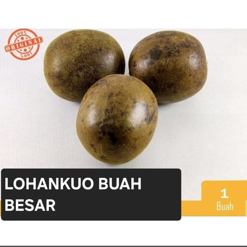 Jual LOHANKUO BUAH BESAR JUMBO LO HAN KUO ALAMI HERBAL / BATUK SAKIT ...