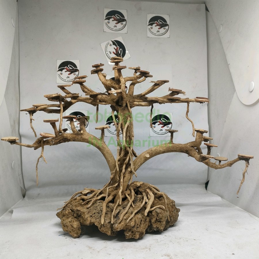 Jual Tebing Akar Kayu Bonsai Beringin Double Hiasan Aquarium Aquascape ...