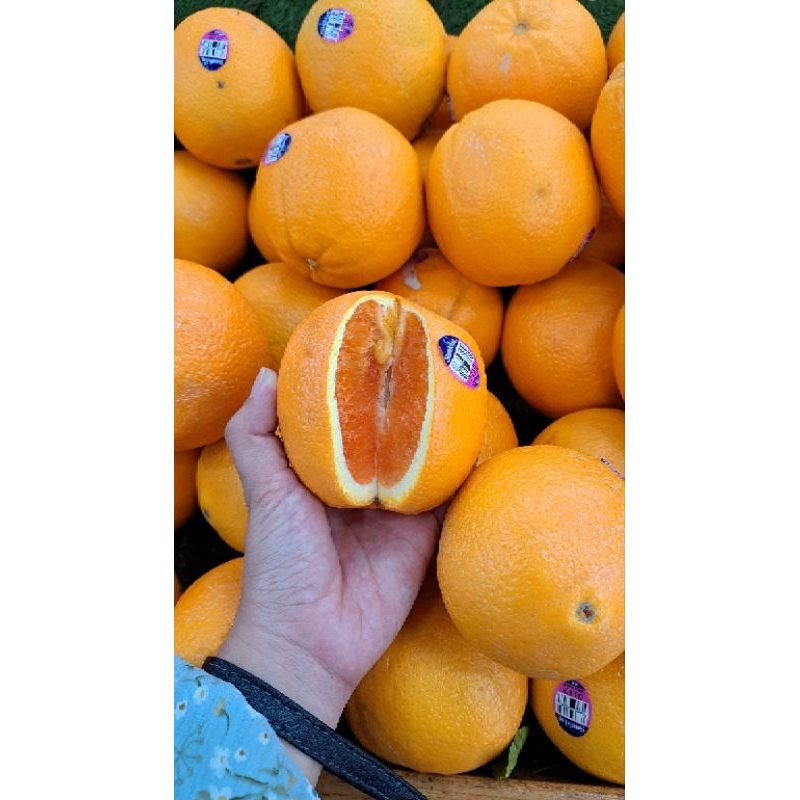 Jual Jeruk Sunkist Navel Cara-Cara Australia 1 Kg | Shopee Indonesia