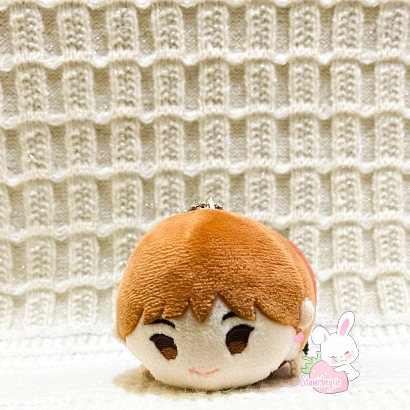 Jual Boneka BTS Tinytan Mochi Jin | Shopee Indonesia