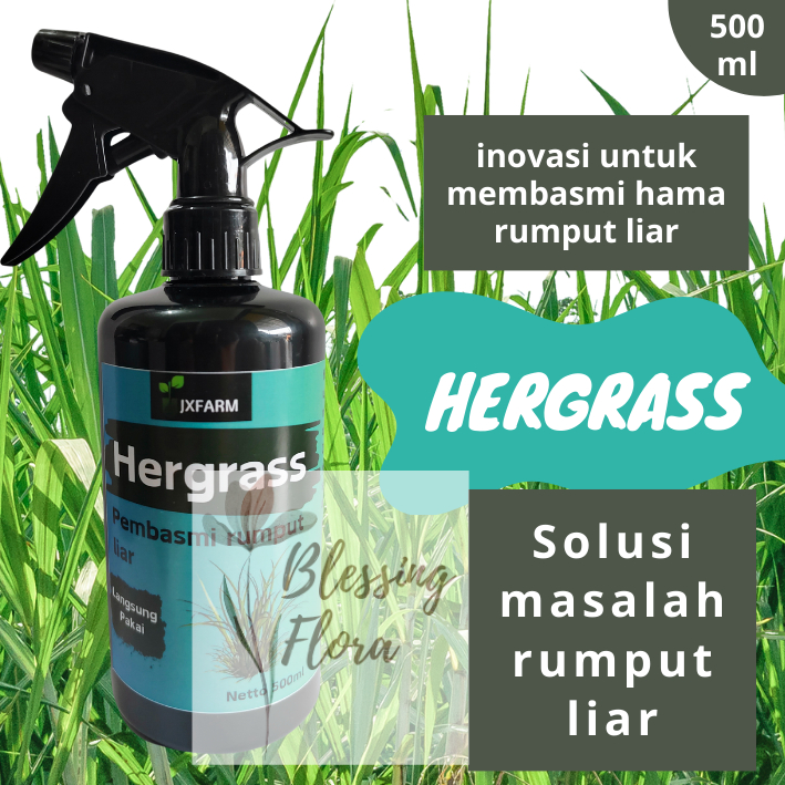 Jual Pembasmi Rumput Liar Herbisida HERGRASS 500ml | Shopee Indonesia