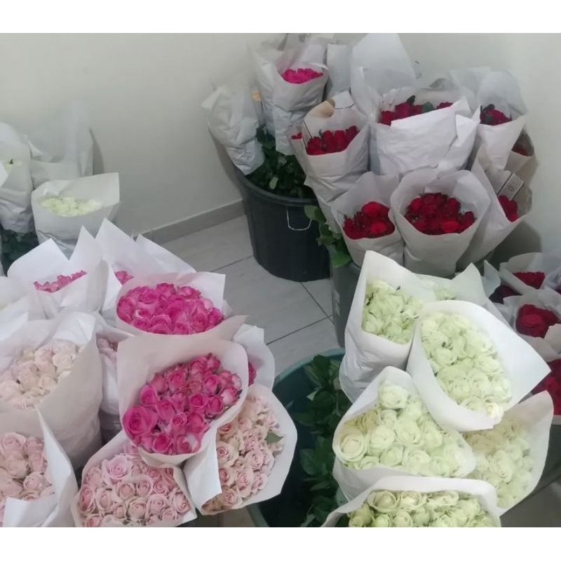 Jual BEINS-FLORIST/BUNGA MAWAR ASLI 10 TANGKAI MAWAR/BUNGA MAWAR SEGAR ...