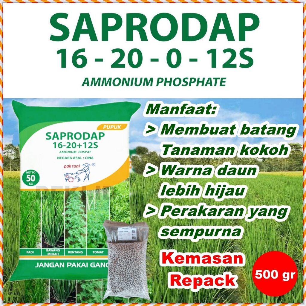Jual Saprodap 500 Gram Repack Pupuk Ammonium Pospat Pak Tani 16 20 0 ...