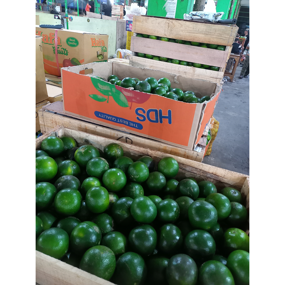 Jual JERUK PERAS BESAR | JERUK PERAS MANIS | JERUK PERAS 1KG | JERUK ...