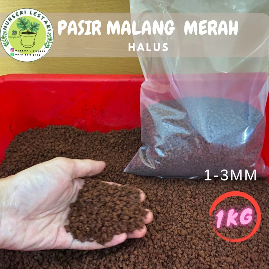 Jual Red Lava Rock / Pasir Malang Merah Halus 1KG | Shopee Indonesia
