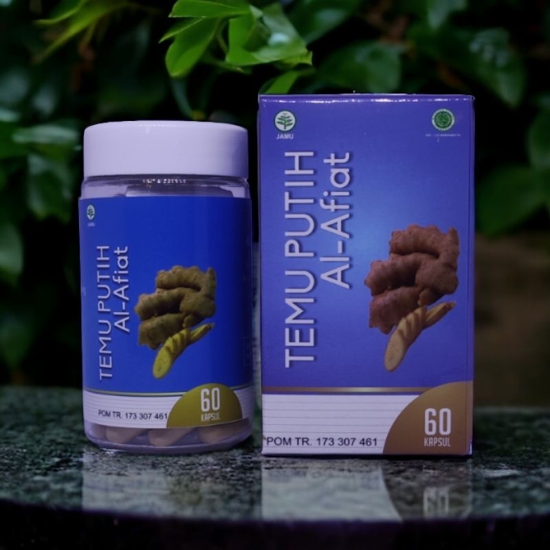 Jual TEMU PUTIH AL AFIAT / temu putih | Shopee Indonesia