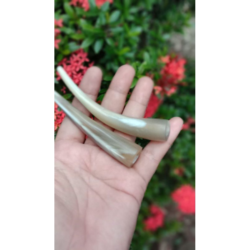 Jual once/pipa tanduk kerbau | Shopee Indonesia