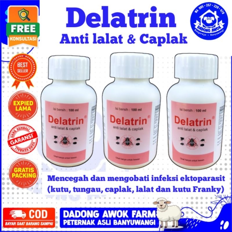 Jual DELATRIN anti lalat 100ml OBAT PENGUSIR LALAT SERANGGA KUTU LARPA ...