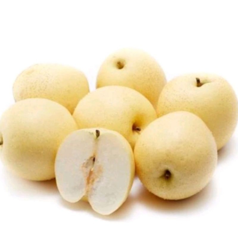 Jual pear madu Century /buah pir madu / | Shopee Indonesia
