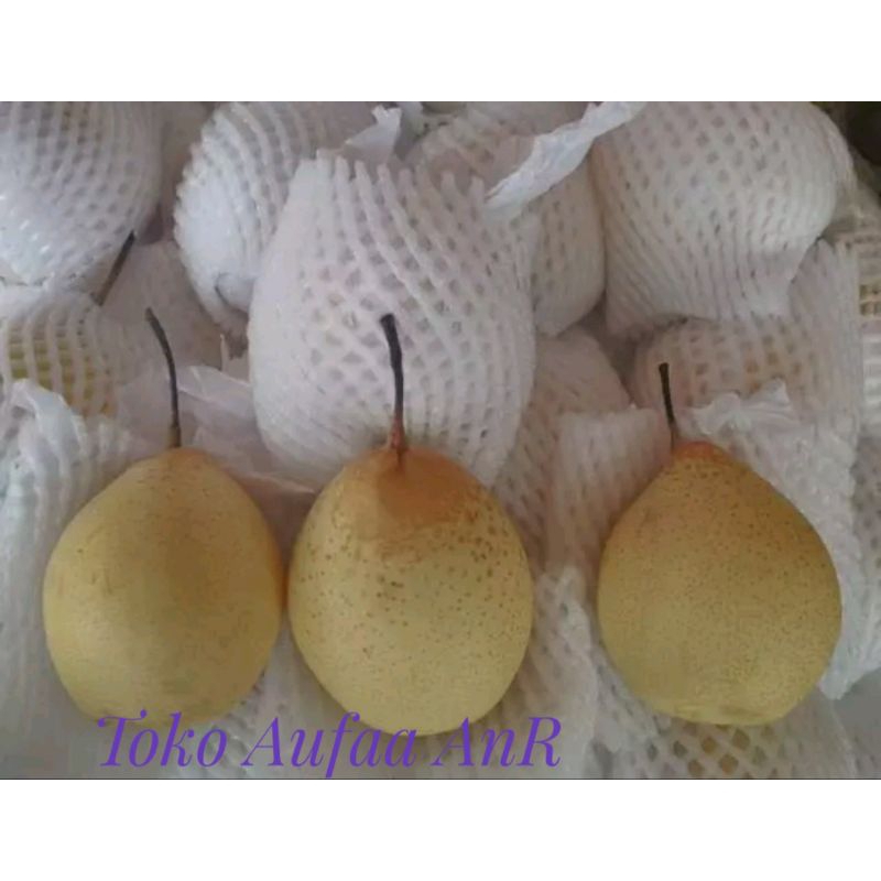 Jual Pear Yalie, Buah Pir berat 1 kg | Shopee Indonesia