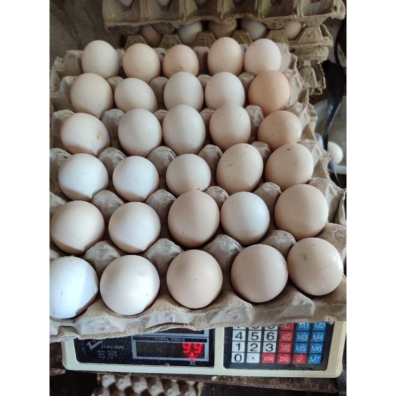 Jual Telur Ayam Kampung Asli | Shopee Indonesia