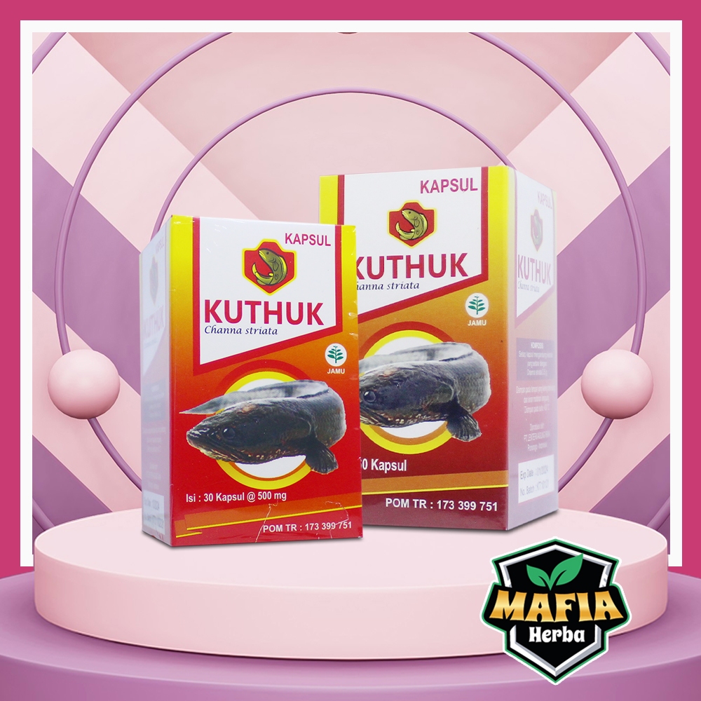 Jual EKSTRAK IKAN GABUS MEMBANTU MEMPERCEPAT PENYEMBUHAN KAPSUL KUTUK KUTHUK ALAMI Dan ...