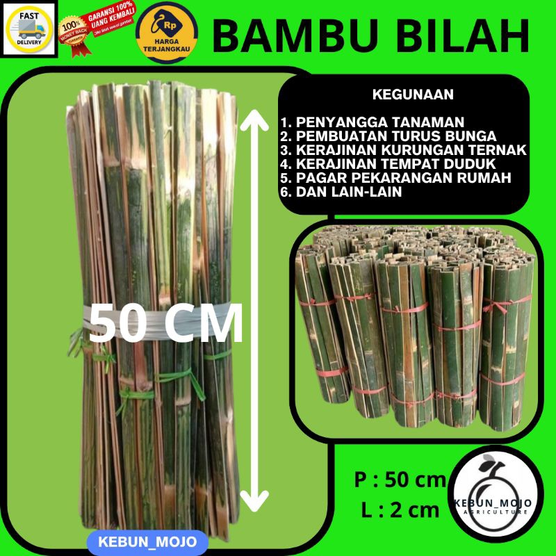 Jual BAMBU BILAH 50 CM UNTUK PENYANGGA TANAMAN TURUS LANJARAN BERSIH ...