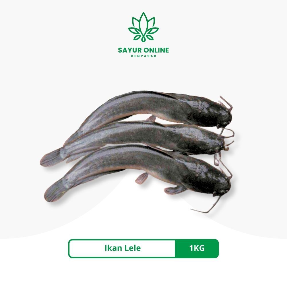 Jual Ikan Lele (sudah bersih) 1KG - Sayur Online Denpasar | Shopee ...