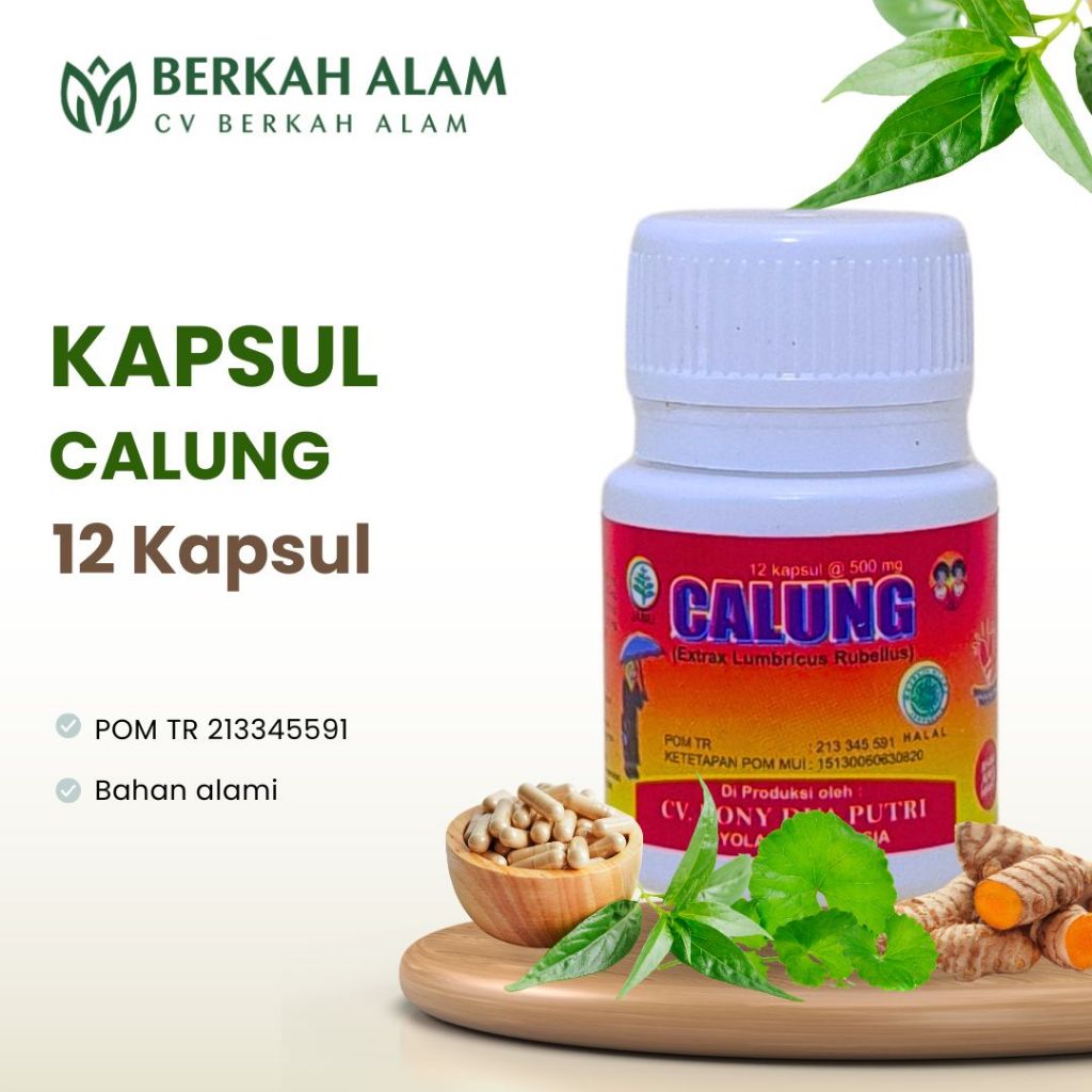 Jual Calung Isi 12 Kapsul / Kapsul Penurun Demam / Kapsul Ekstrak ...