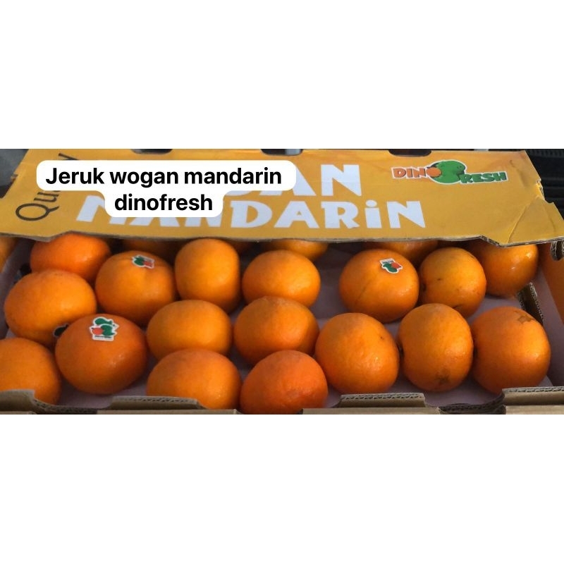 Jual jeruk wogan mandarin dinofresh / kg | Shopee Indonesia