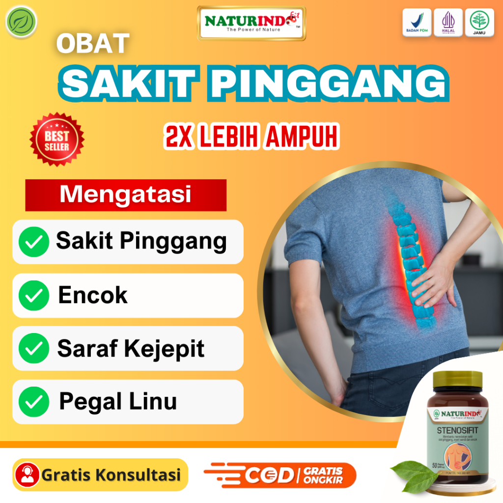 Jual Obat Sakit Pinggang Saraf Kejepit Encok Nyeri Sendi Pegal Linu ...