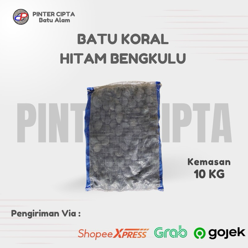 Jual BATU HIAS KORAL HITAM BENGKULU (8 Kg) GROSIR! | Shopee Indonesia